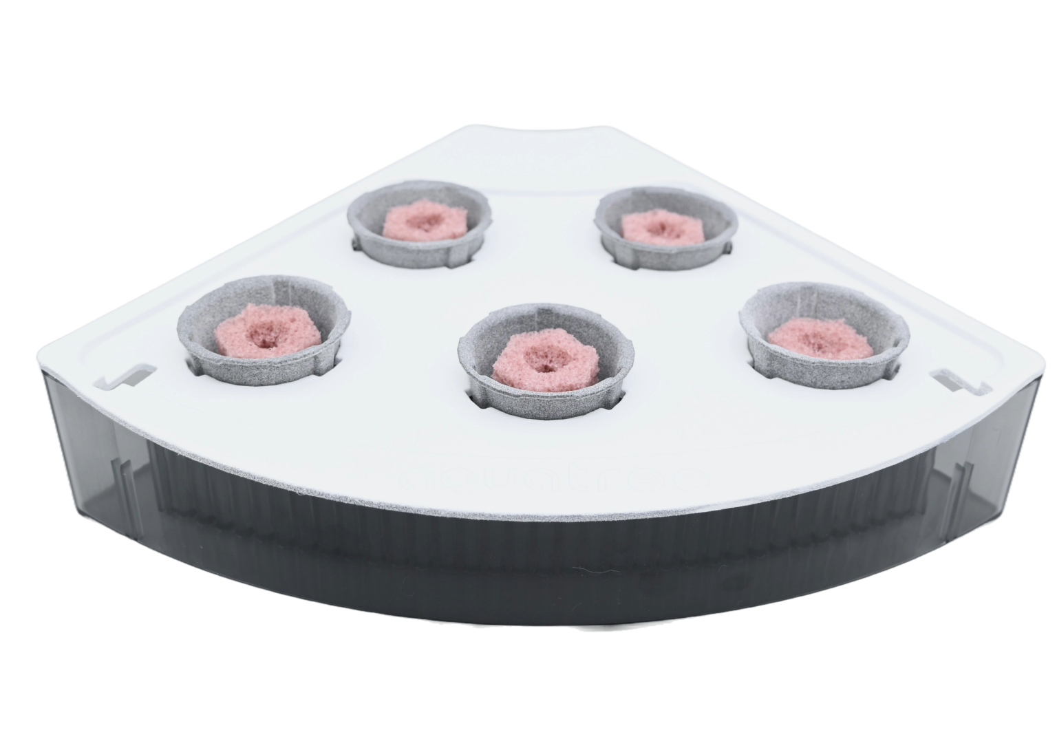 How Aquatree Garden Works: Indoor Hydroponic System Guide