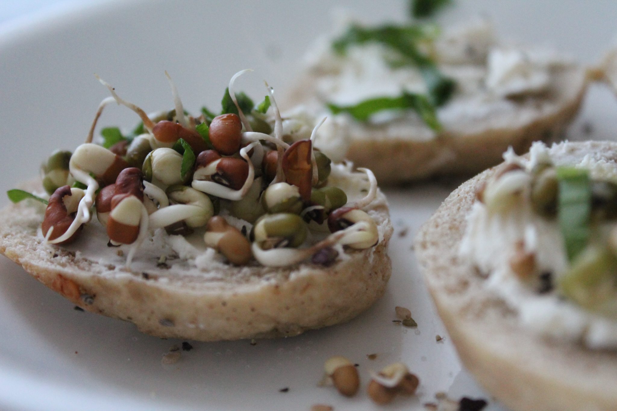 Become a Grow Master with Aquatree®: From Beginner to Advanced